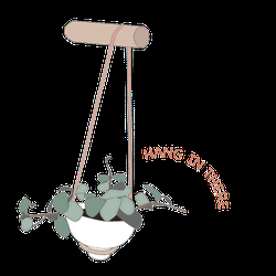 Hang In There Swinging Plant Vase GIF | GIFDB.com