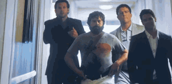 Hangover Wolf Pack Walk In GIF | GIFDB.com