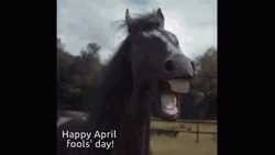 Happy April Fools Day Horse GIF | GIFDB.com