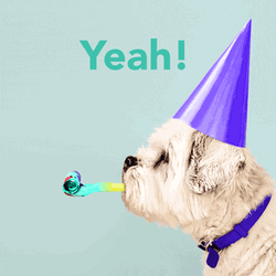 Happy Birthday Animated Dog Greetings GIF | GIFDB.com