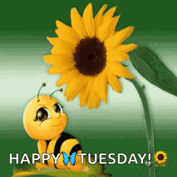 Happy Blessed Tuesday Bee Kissing Sunflower GIF | GIFDB.com