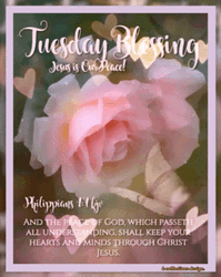 Happy Blessed Tuesday Jesus Is Our Peace GIF | GIFDB.com
