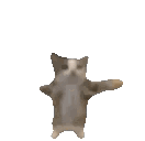 Happy Cat Jumping Breakdancing GIF | GIFDB.com