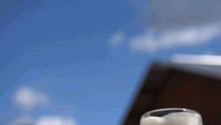 Happy Celebration Beer Mugs Cheers GIF | GIFDB.com