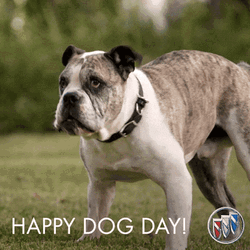 Happy Dog Day Barking Sound GIF | GIFDB.com