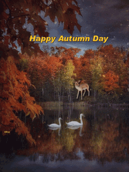 Happy Fall Saturday Rainy Day GIF | GIFDB.com
