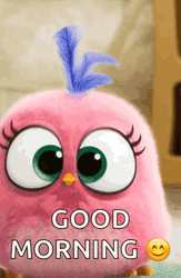 Happy Good Morning Hazel Angry Bird GIF | GIFDB.com