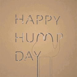 Happy Hump Day Model Miranda Kerr GIF | GIFDB.com