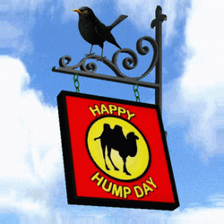 Happy Hump Day Meme Hanging Signage GIF | GIFDB.com