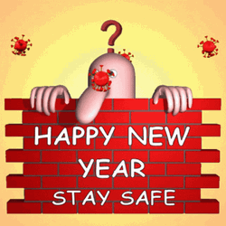 Happy New Year Stay Safe GIF | GIFDB.com