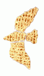 Happy Passover Matzah Flatbread Bird Fly GIF | GIFDB.com
