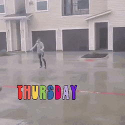 Happy Rainy Monday Thursday Mood GIF | GIFDB.com