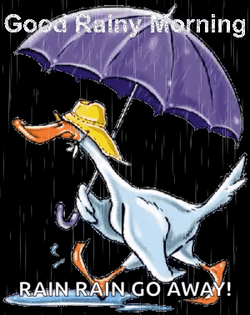 Happy Rainy Wednesday Duck GIF | GIFDB.com