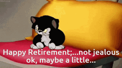 Happy Retirement Not Jealous GIF | GIFDB.com