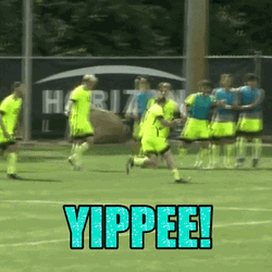 Happy Soccer Yippee Meme GIF | GIFDB.com