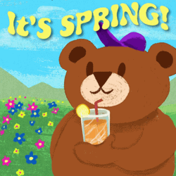 Bear Sipping Juice Happy Spring GIF | GIFDB.com