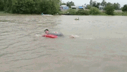 Happy Swimming In The Flooding GIF | GIFDB.com