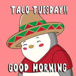 Happy Taco Tuesday Blushing Penguin GIF | GIFDB.com