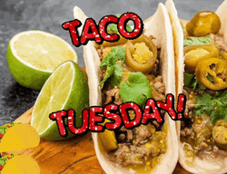 Happy Taco Tuesday Delicious Mexican Dish GIF | GIFDB.com