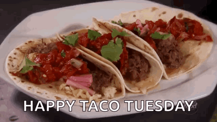 Happy Taco Tuesday Spreading Sauce GIF | GIFDB.com