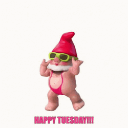Happy Tuesday Elf Dancing GIF | GIFDB.com