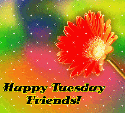 Happy Tuesday Friends GIF | GIFDB.com