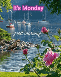 Have A Good Great Monday GIF | GIFDB.com