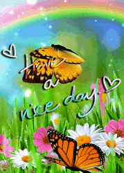 Have A Nice Day Rainbow Fields Butterfly Spring GIF | GIFDB.com