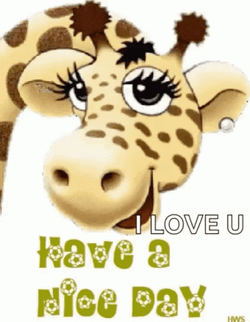 Have A Wonderful Wednesday Winking Giraffe GIF | GIFDB.com