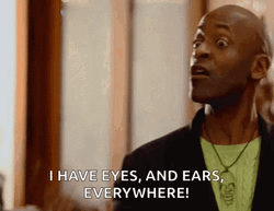 Have My Eyes Everywhere My Eyes GIF | GIFDB.com