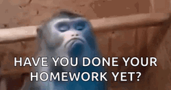 Have You Done Your Homework Yet GIF | GIFDB.com
