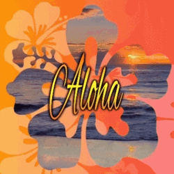Hawaii Aloha Beach GIF | GIFDB.com