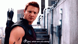 Hawkeye Clint Barton The Avengers GIF | GIFDB.com