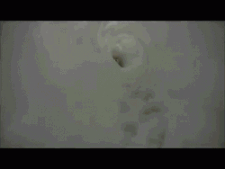 Heart Tunnel 373 X 280 Gif GIF | GIFDB.com