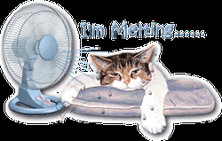 Ice Cube On The Ground I'm Melting Slowly GIF | GIFDB.com