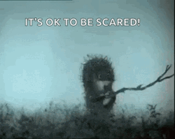 Hedgehog Roaming On The Fog GIF | GIFDB.com