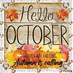 Hello Happy October Autumn Is Calling GIF | GIFDB.com