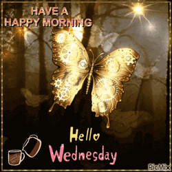 Hello Wednesday Glowing Butterflies GIF | GIFDB.com