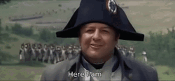 Here I Am Napoleon Meme GIF | GIFDB.com