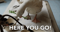 Here You Go GIFs | GIFDB.com