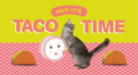 Hey It's Taco Time GIF | GIFDB.com