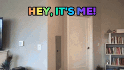 Hey Its Me Hi GIF | GIFDB.com