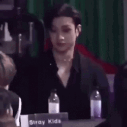 Hiding Meme Straykids Bang Chan GIF | GIFDB.com