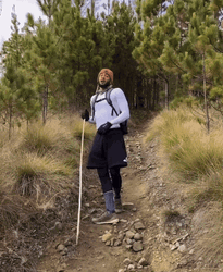 Hiking Backwards Falling Mishap GIF | GIFDB.com