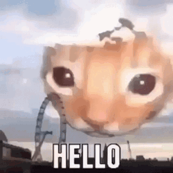 Hilarious Cat Face Greets Hello Meme GIF | GIFDB.com