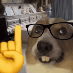 Hilarious Nerd Dog Guy Buck Teeth Meme GIF | GIFDB.com