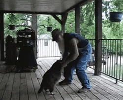 Hillbilly Redneck Dancing With Racoon GIF | GIFDB.com