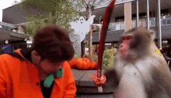 Hit Stick Samurai Monkey GIF | GIFDB.com
