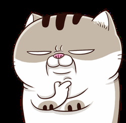 Hmmm Meowbeo Cat Chin Scratch GIF | GIFDB.com