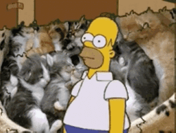 Homer Disappearing Kittens GIF | GIFDB.com